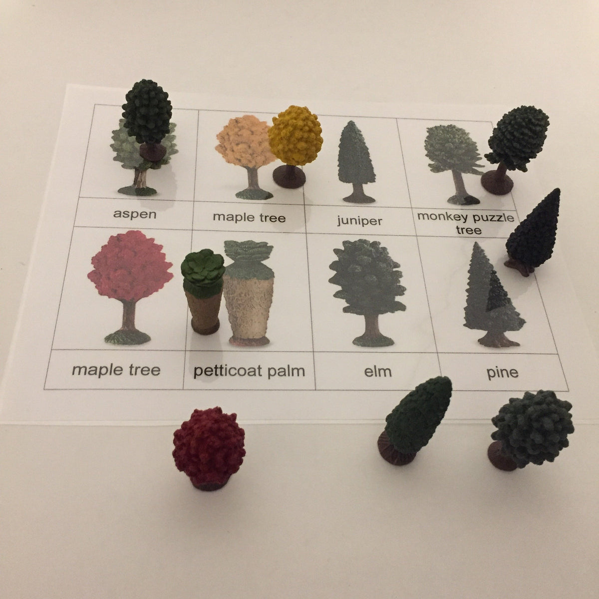 Montessori Inspired Safari Toob Activities – A A Montessori Materials