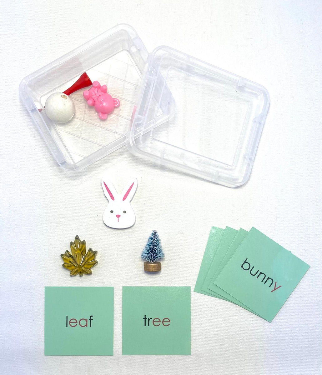Montessori Green Series: (Long A, E, I, O, U ) Objects and Cards – A A ...