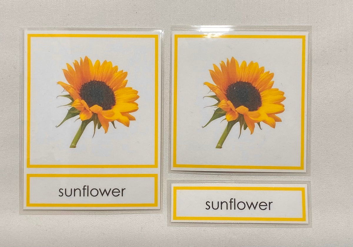 Montessori Flower Matching Set with Miniature Flowers, 3-Part Cards an ...