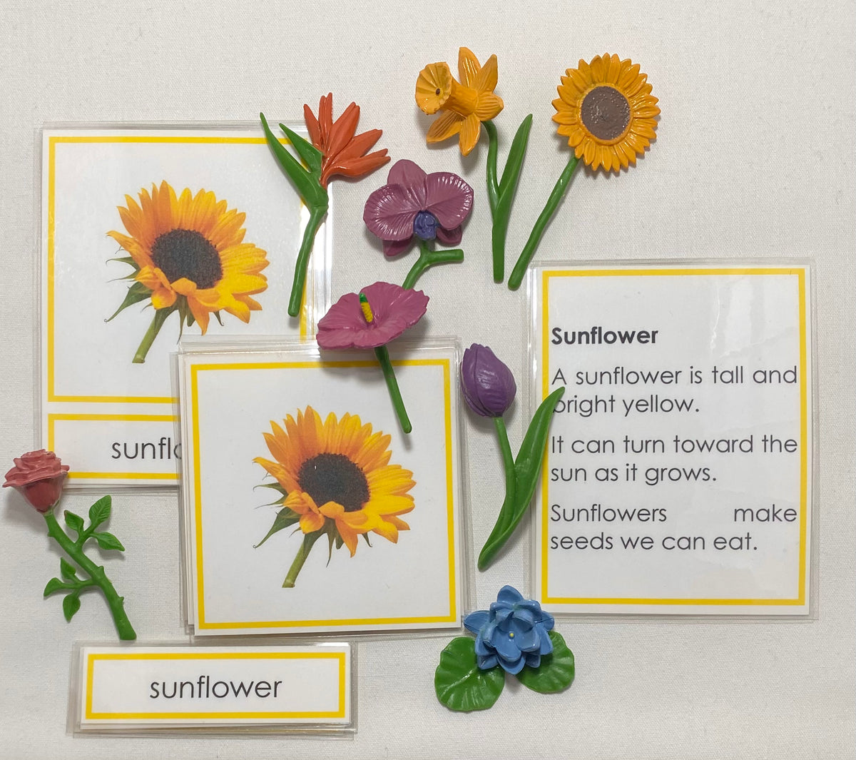 Montessori Flower Matching Set with Miniature Flowers, 3-Part Cards an ...